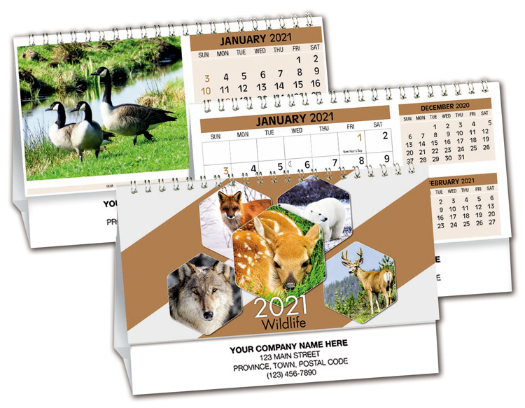 2021 Spiral Desk Calendar - Wildlife | Ref. 3775E